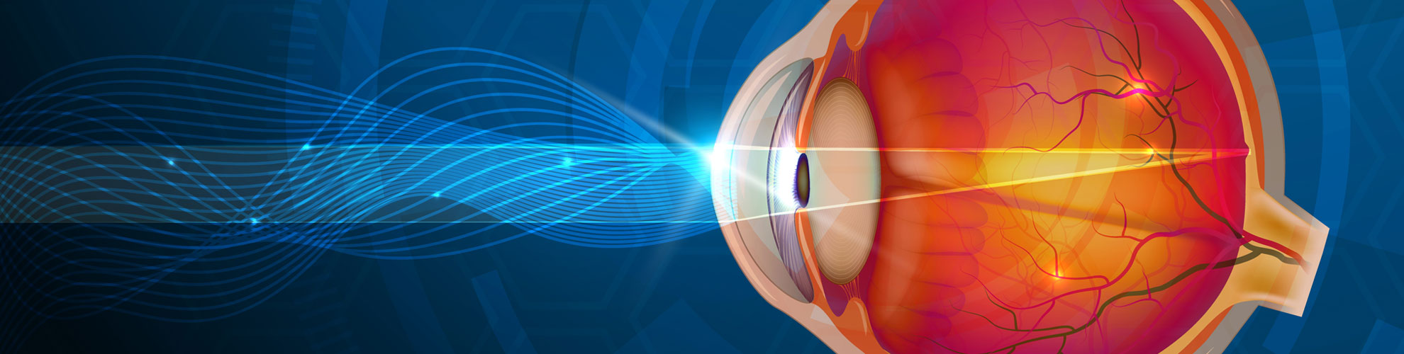 Interactive Eye | Primary Eye Care